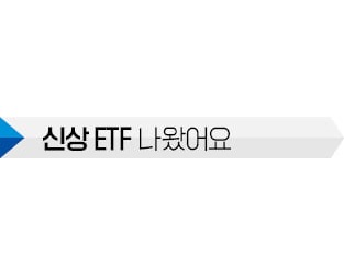 국내 첫 대만테크 ETF '제2 TSMC' 발굴·투자